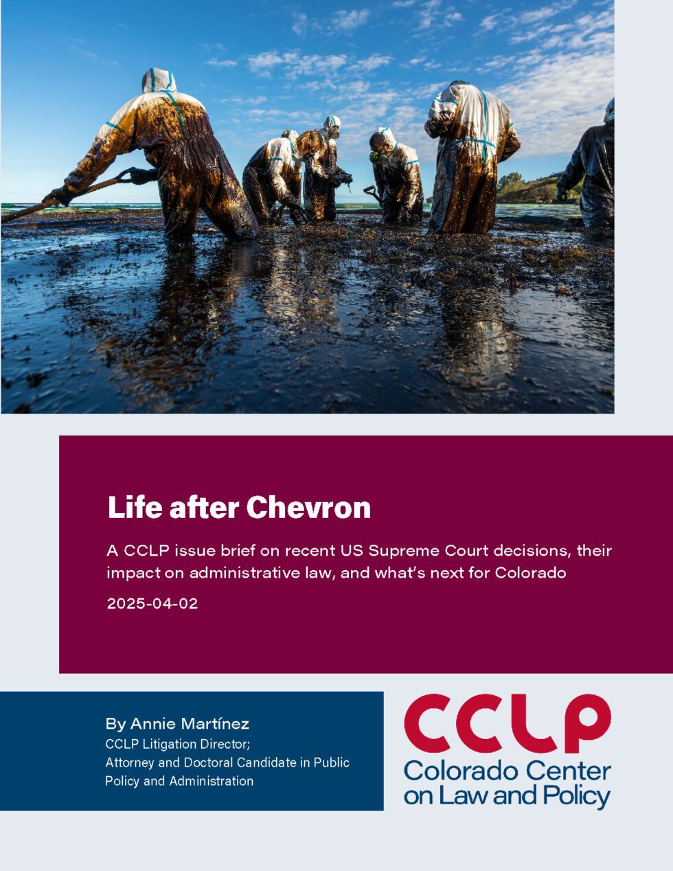Issue Brief: Life After Chevron - CCLP